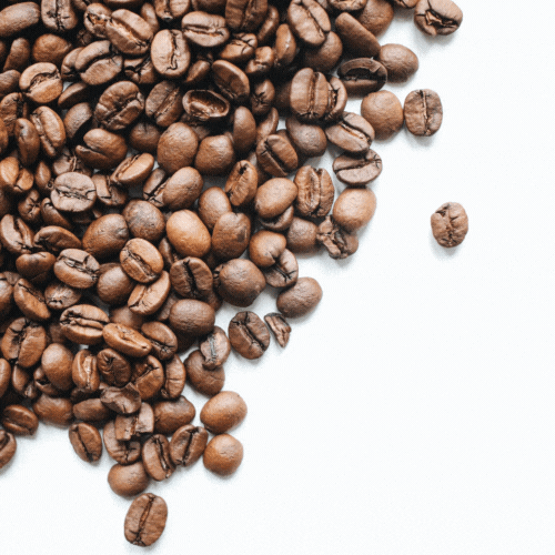 Dennis Xiong: A Portfolio